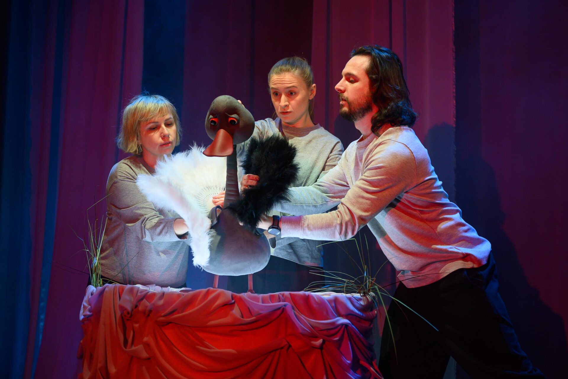 Spektakle – Teatr Ateneum w Katowicach